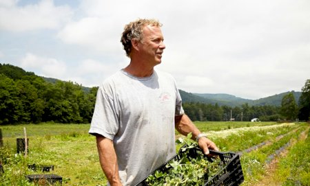 Order online from your local farmers market